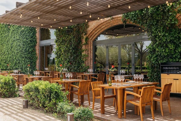 Luminars and GoClub — Exclusive Updates for GoMining Avatar Holders